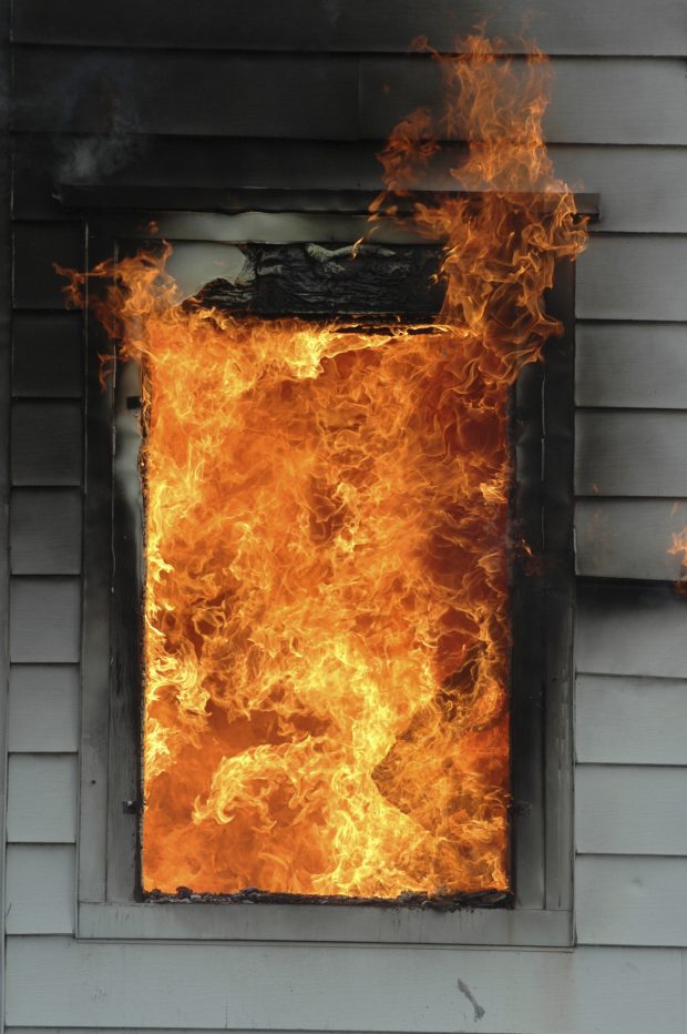 Stop! Drop! Roll-Over, Rover! - Pet Poison Helpline