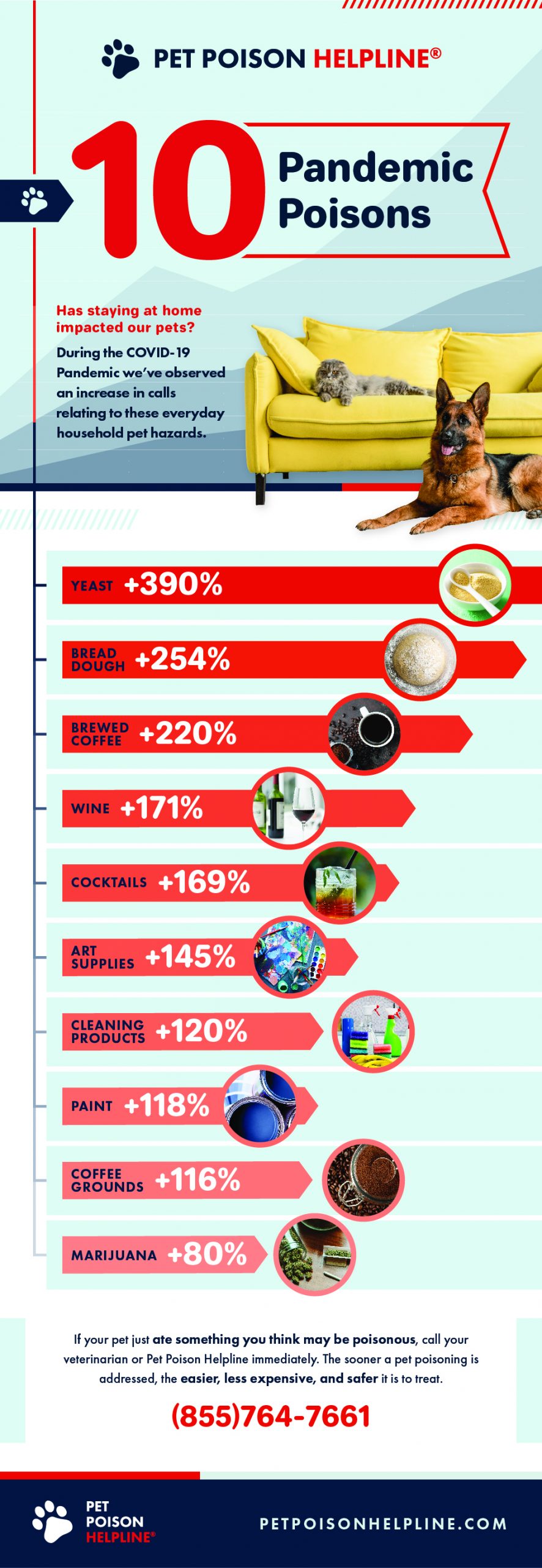 Pandemic Poisons Infographic | Pet Poison Helpline