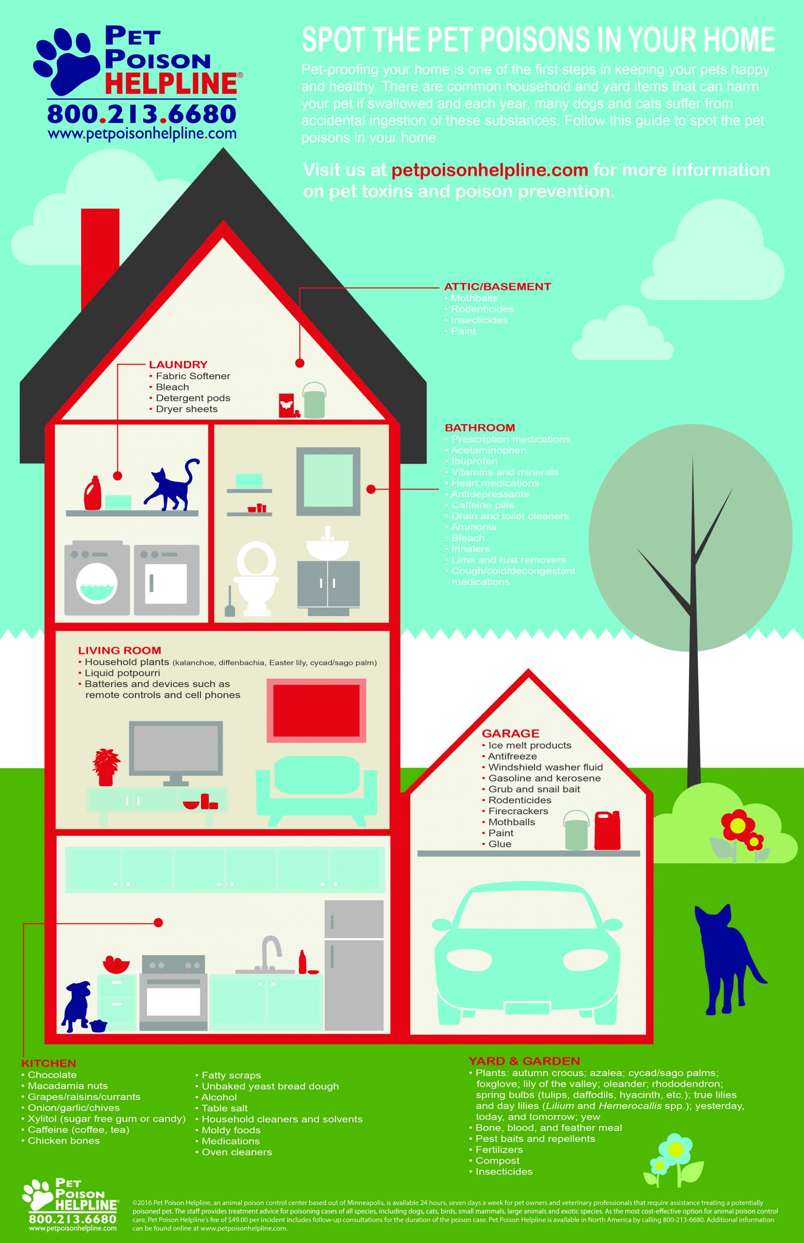 Preventing Pet Poisonings Infographic | Pet Poison Helpline